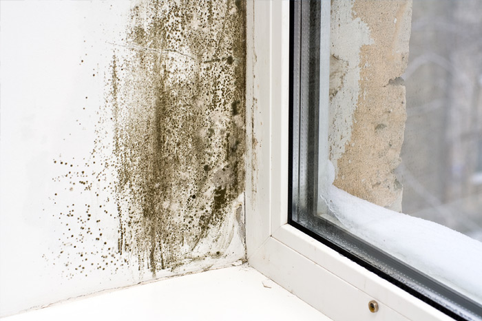 3 Ways Builders Can Improve Their Moisture Management System